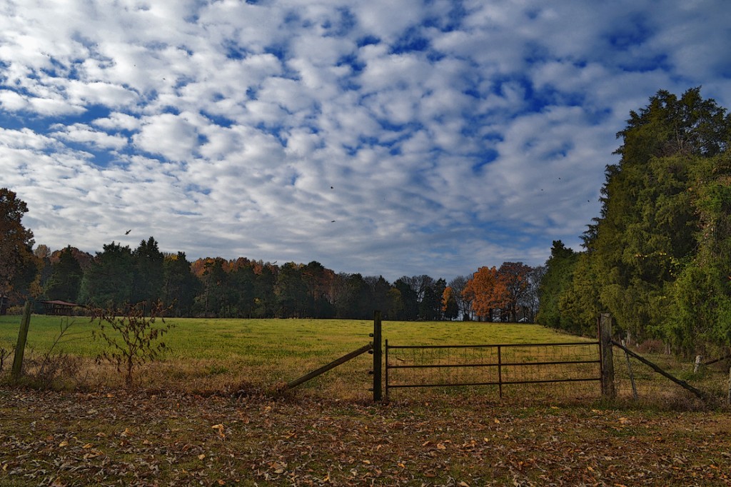 poteat field-72 – Barbara Duffy